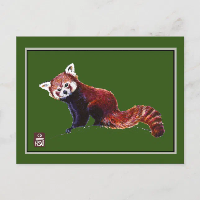 Red Panda Postcard | Zazzle