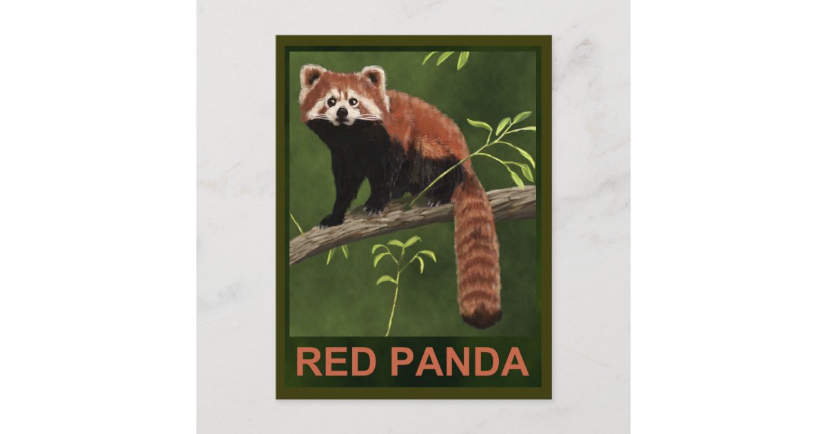 Red Panda Postcard | Zazzle