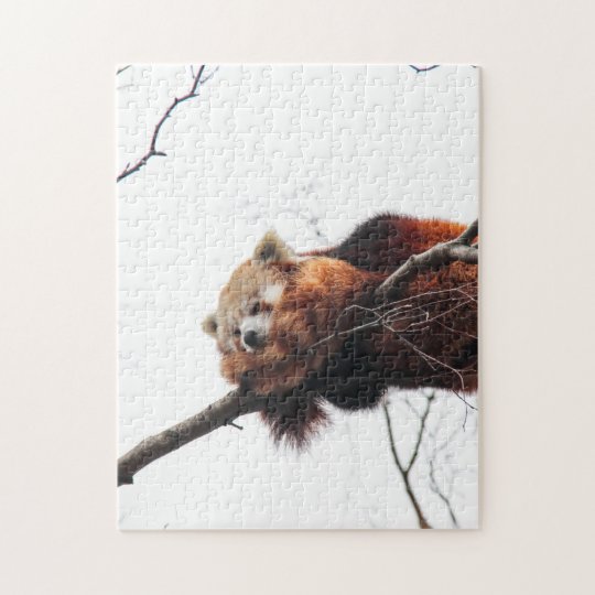 Red Panda Puzzle/Jigsaw Jigsaw Puzzle | Zazzle.com