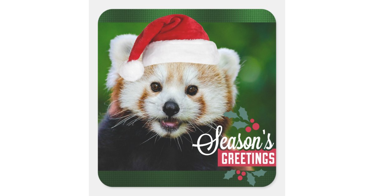 Red Panda Santa Square Sticker | Zazzle