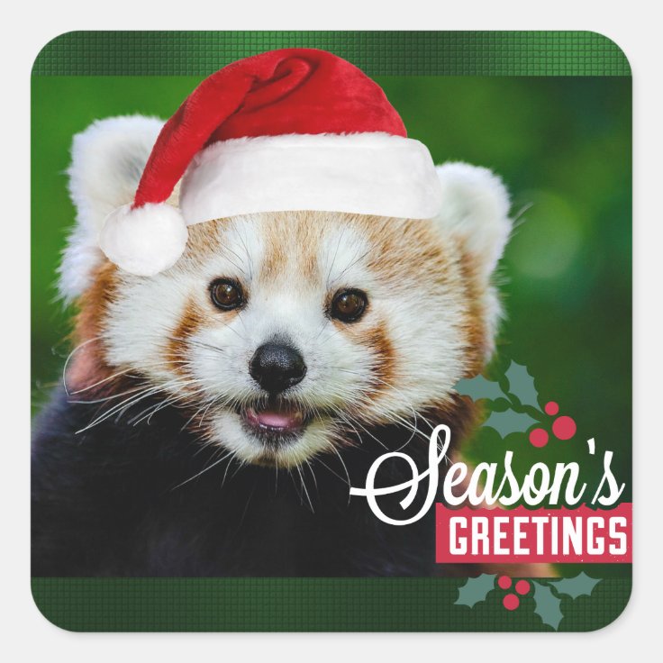 Red Panda Santa Square Sticker | Zazzle