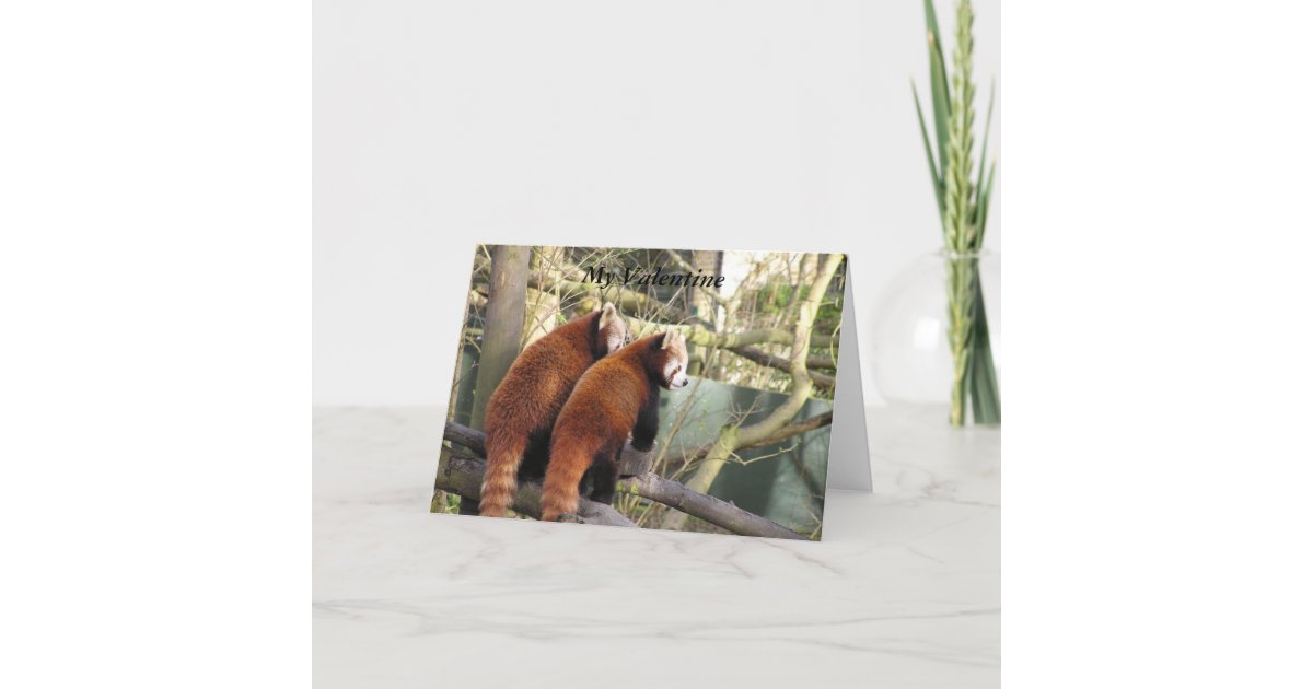 Red Panda Valentine Card | Zazzle