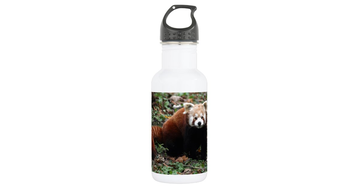 Red Panda Water Bottle | Zazzle