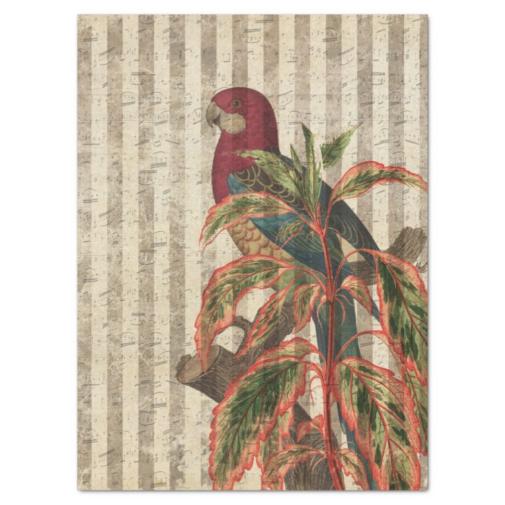 Red Parrot on Tan Stripes Decoupage Tissue Paper | Zazzle