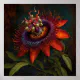 Red Passion Flower Art Print Poster | Zazzle
