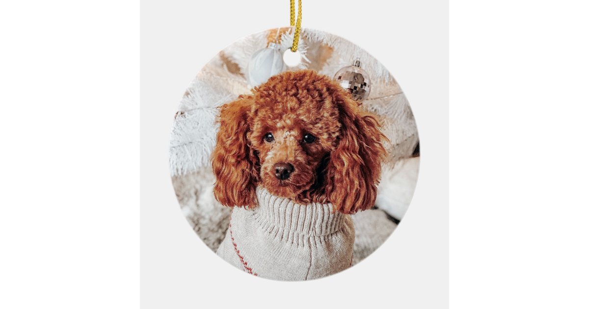 Red Poodle in a sweater under a Christmas Tree Ceramic Ornament | Zazzle