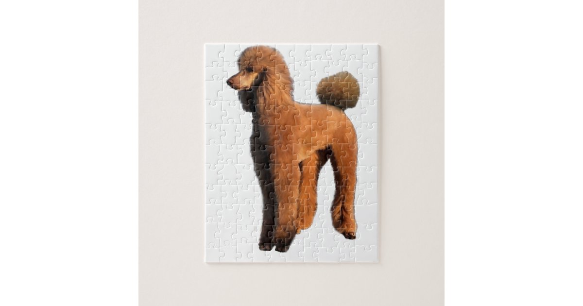 red poodle jigsaw puzzle | Zazzle