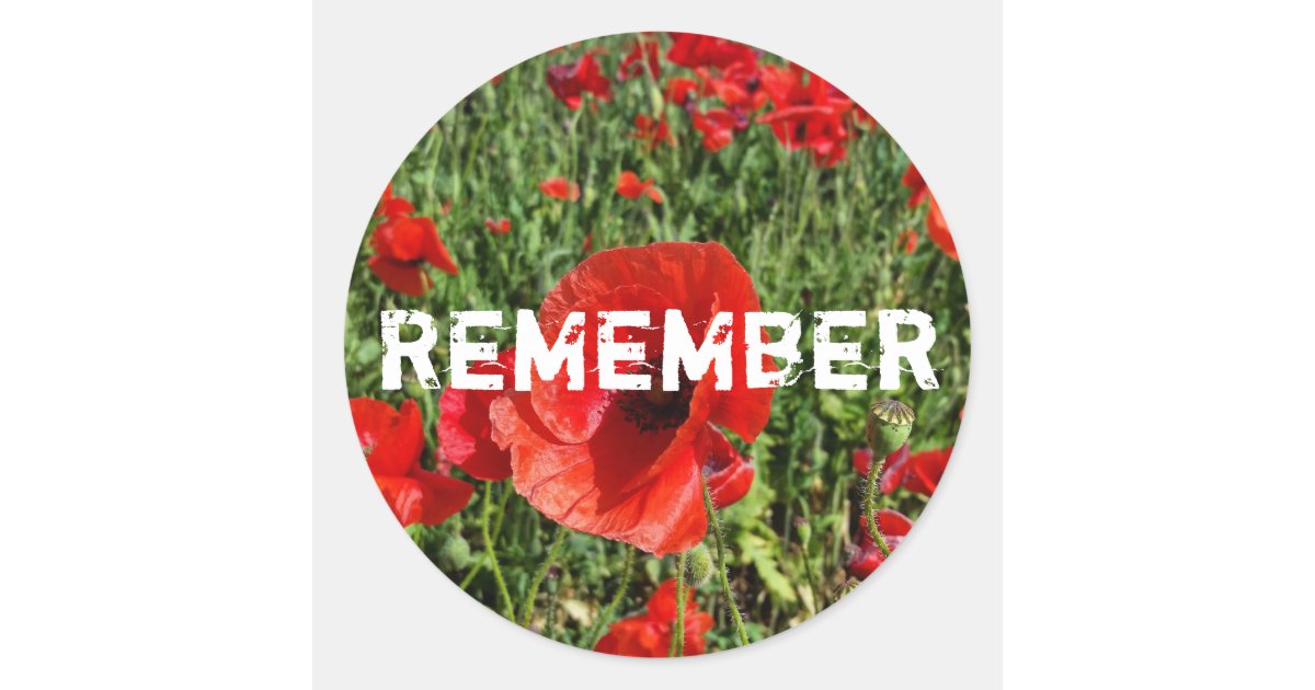 Red Poppies Sticker | Zazzle