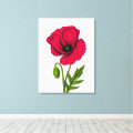 Red poppy drawing canvas print | Zazzle