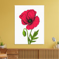 Red poppy drawing canvas print | Zazzle