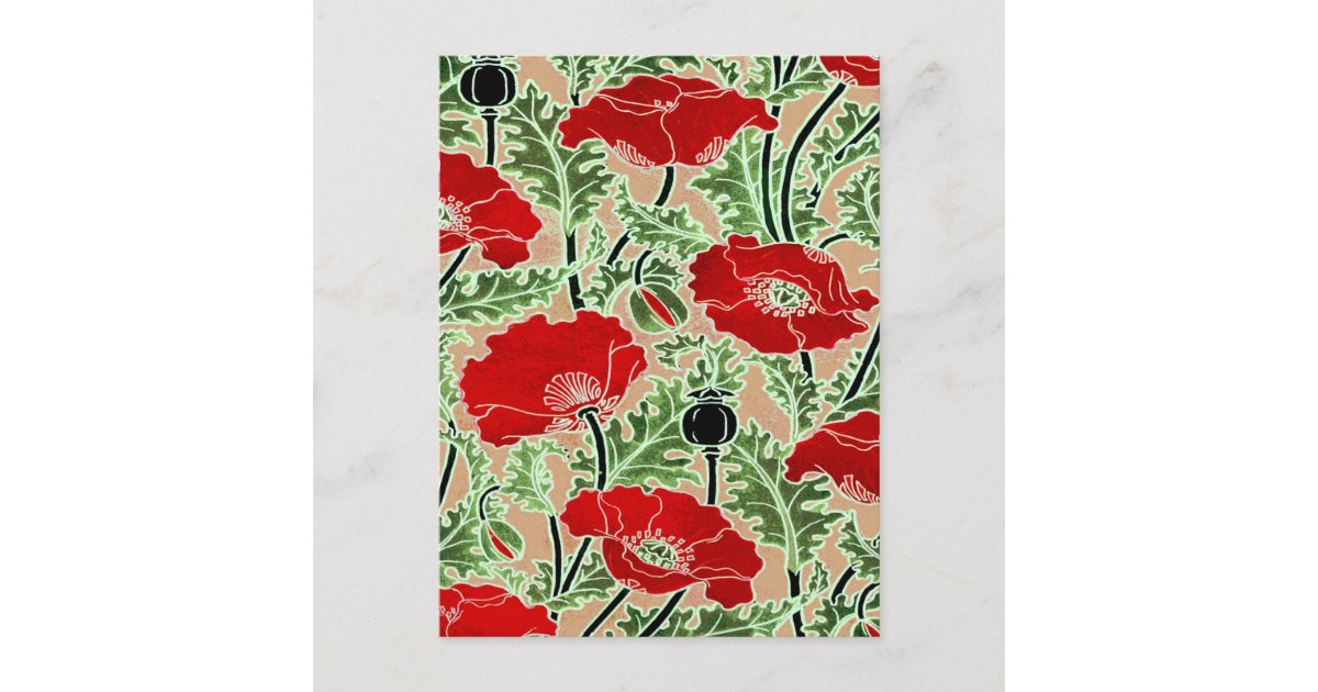 Red Poppy Postcard | Zazzle