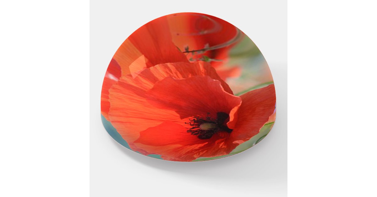Red Poppy Round Paperweight | Zazzle
