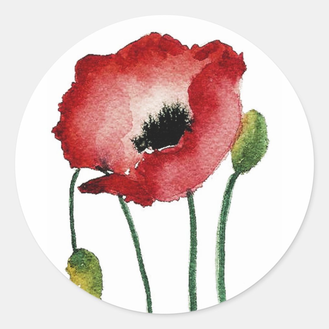 Red Poppy Sticker | Zazzle