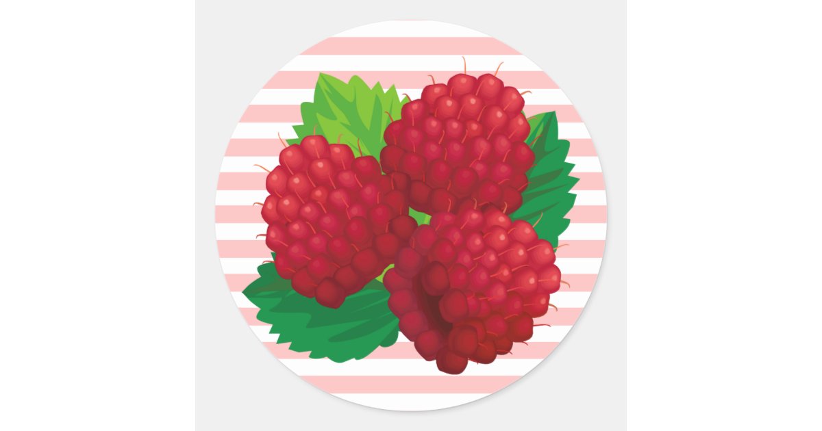 Red Raspberries Sticker | Zazzle