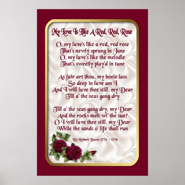 Red Red Rose Poster | Zazzle.com
