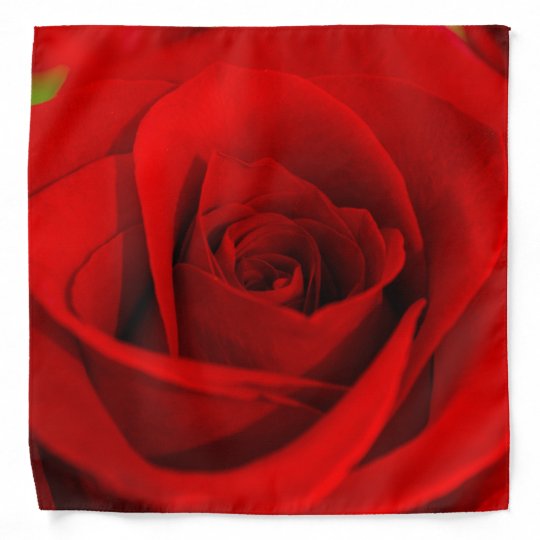 Red Rose Bandana | Zazzle.com