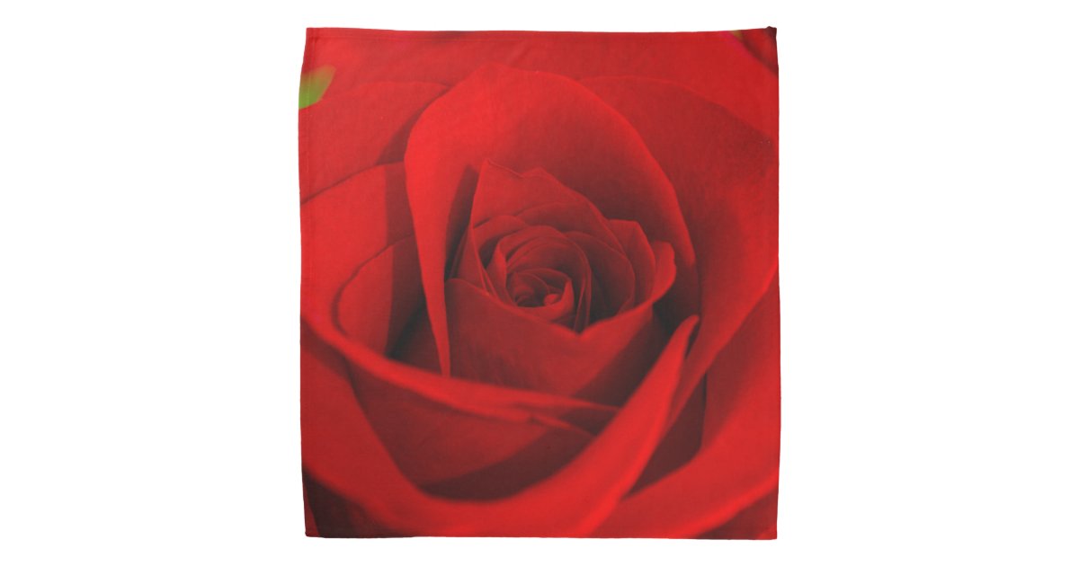 Red Rose Bandana | Zazzle.com