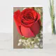 Red Rose Card | Zazzle