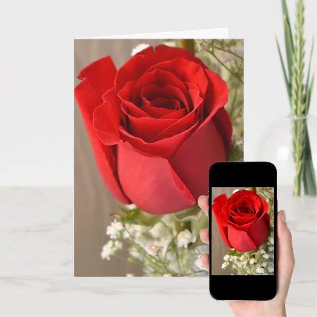 Red Rose Card | Zazzle