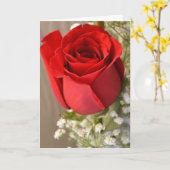 Red Rose Card | Zazzle