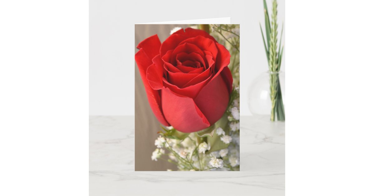 Red Rose Card | Zazzle