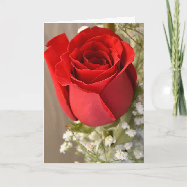 Red Rose Card | Zazzle