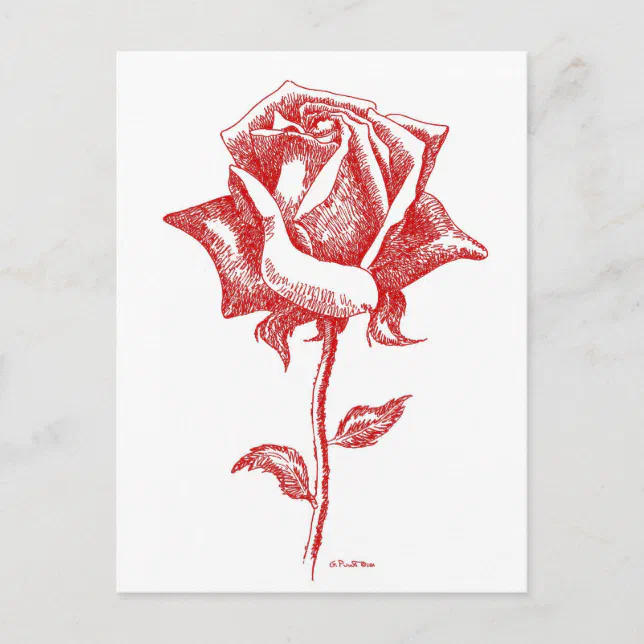 Red Rose Designs Postcard | Zazzle