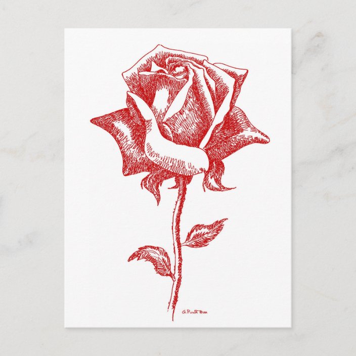 Red Rose Designs Postcard | Zazzle.com