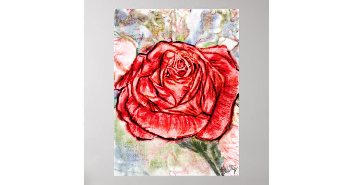 Red Rose Drawing Poster | Zazzle