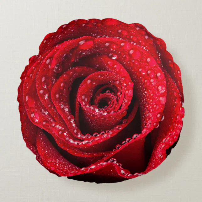 Red Rose Flower Close Up Round Pillow | Zazzle