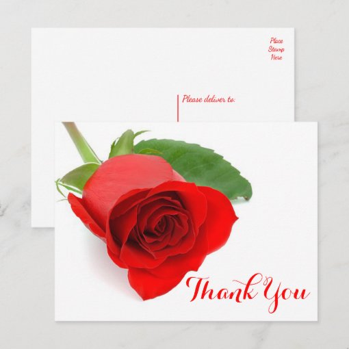 Red Rose Flower Thank You Floral Postcard | Zazzle
