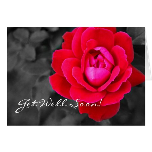 Red Rose Get Well Soon Card | Zazzle