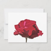 Red Rose In Memory Thank You Card | Zazzle