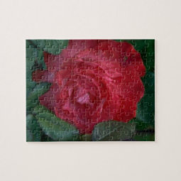 Red Rose Jigsaw Puzzle | Zazzle
