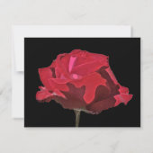 Red Rose on Black Celebration of Life Card | Zazzle