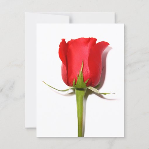 Red Rose Party Invitation | Zazzle