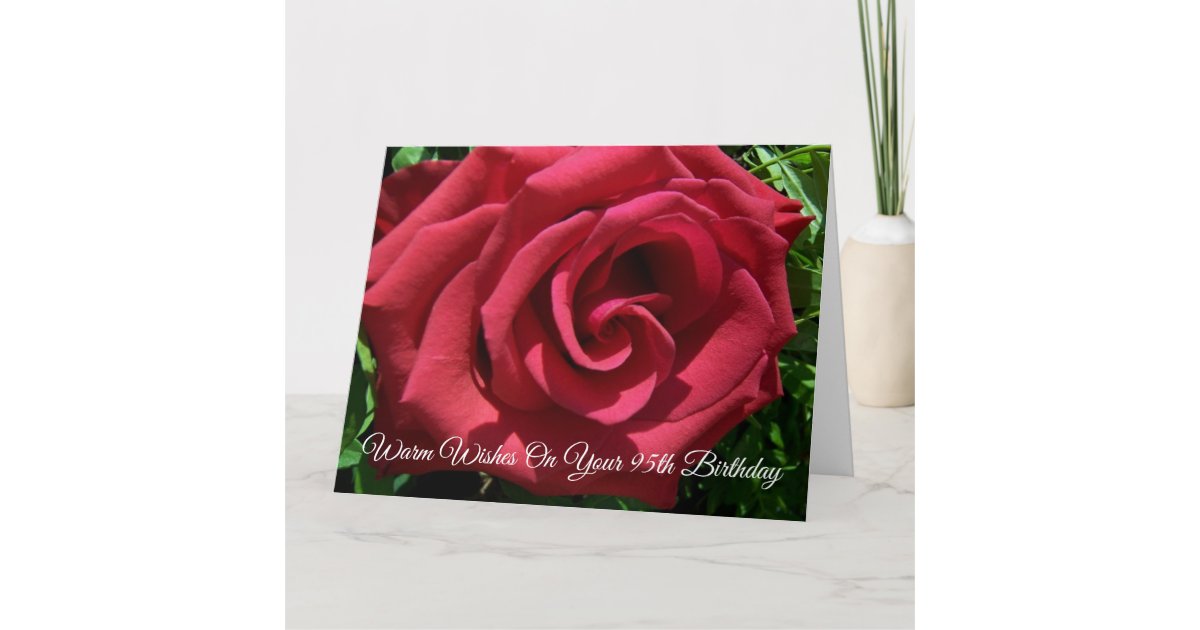 Red Rose Personalised 95th Birthday Card | Zazzle