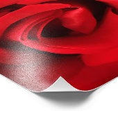 Red Rose Photo Print | Zazzle