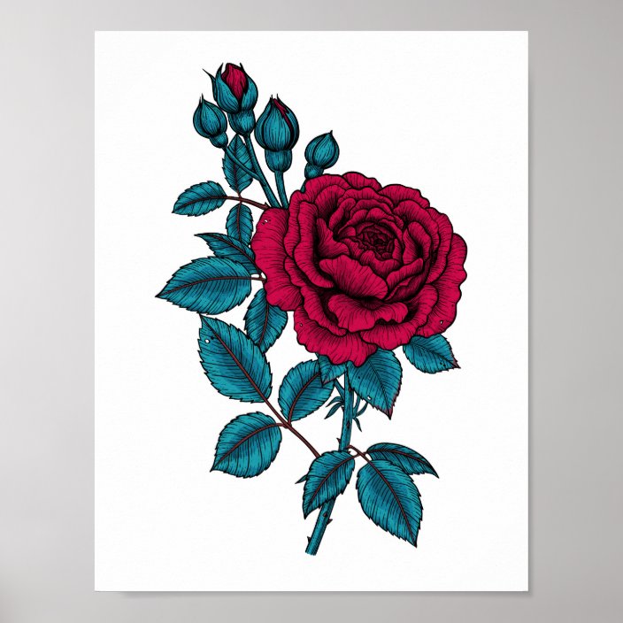 Red rose poster | Zazzle.com
