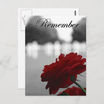 Red Rose Remember Memorial Day Postcard | Zazzle