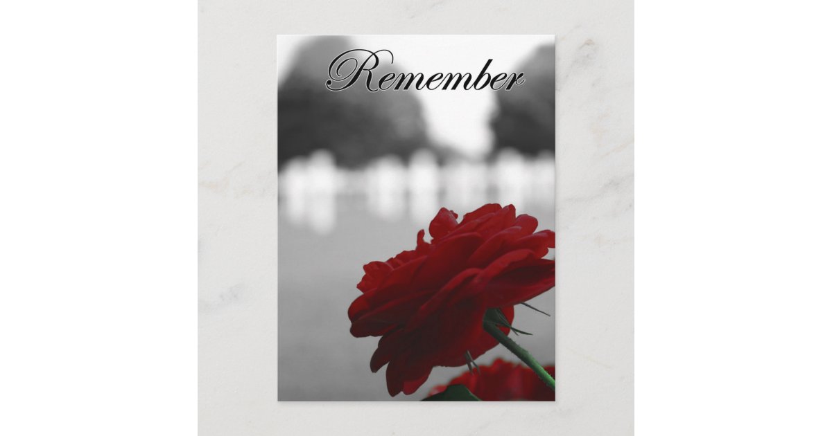 Red Rose Remember Memorial Day Postcard | Zazzle