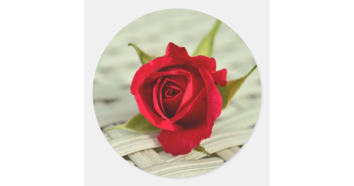 Red Rose Sticker Envelope Seals | Zazzle