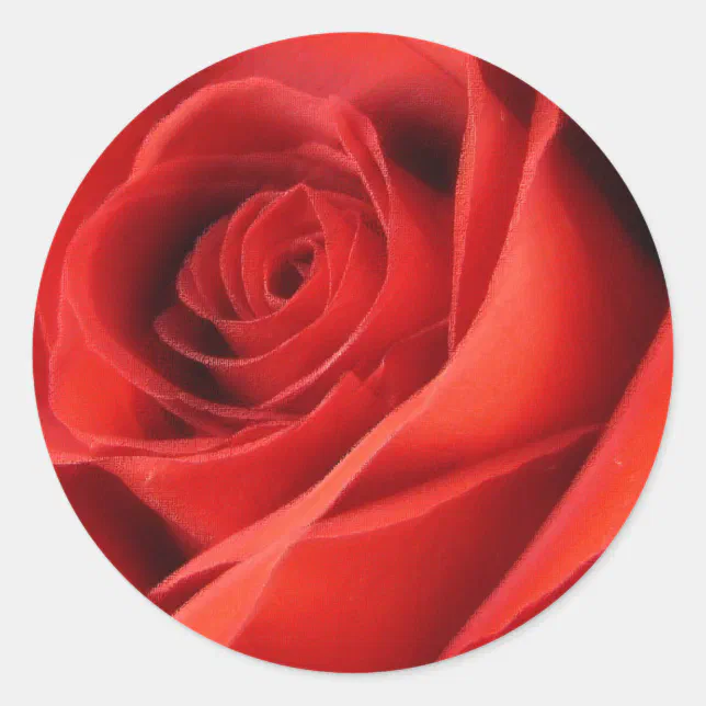 Red rose stickers | Zazzle