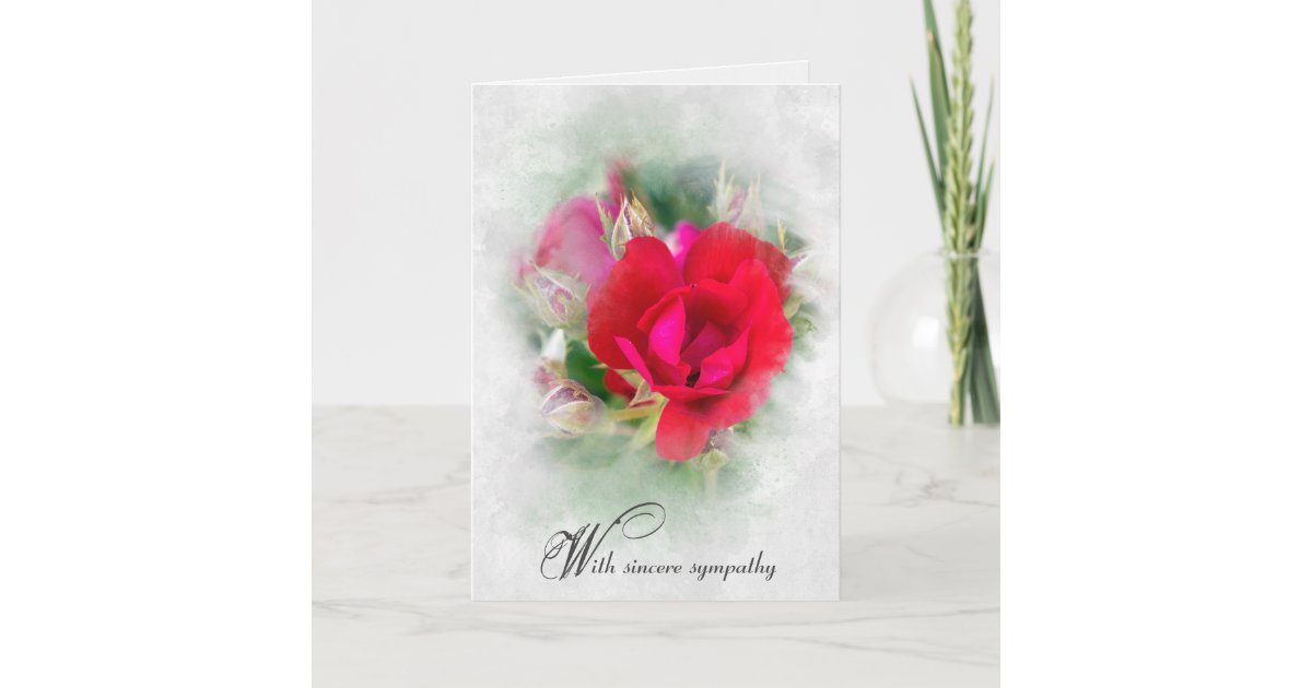 Red Rose Sympathy Card | Zazzle