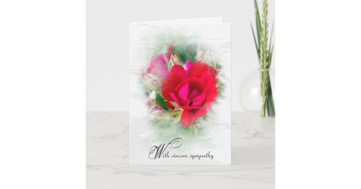 Red Rose Sympathy Card | Zazzle