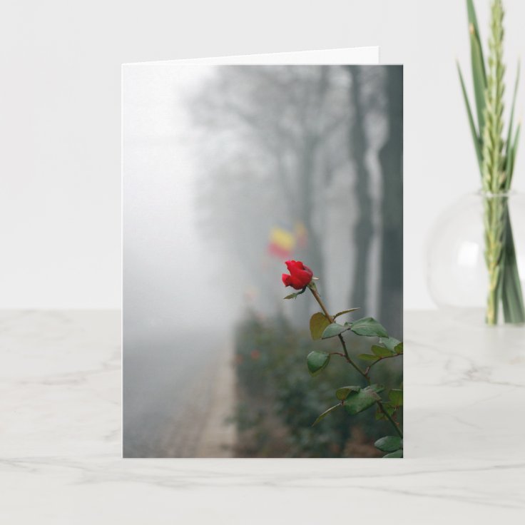 Red Rose Sympathy Card | Zazzle