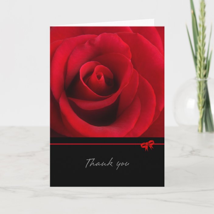 Red Rose - Thank You card | Zazzle.com