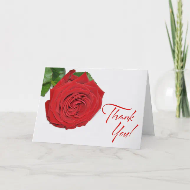 Red Rose Thank You Card | Zazzle