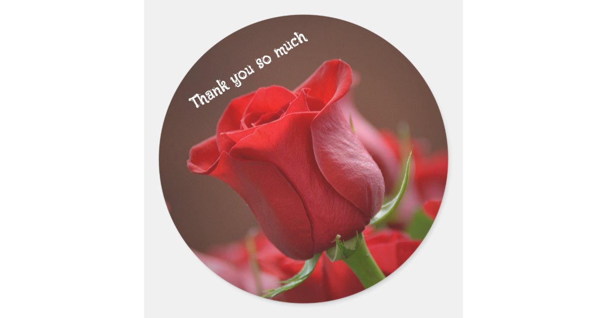Red rose thank you sticker | Zazzle