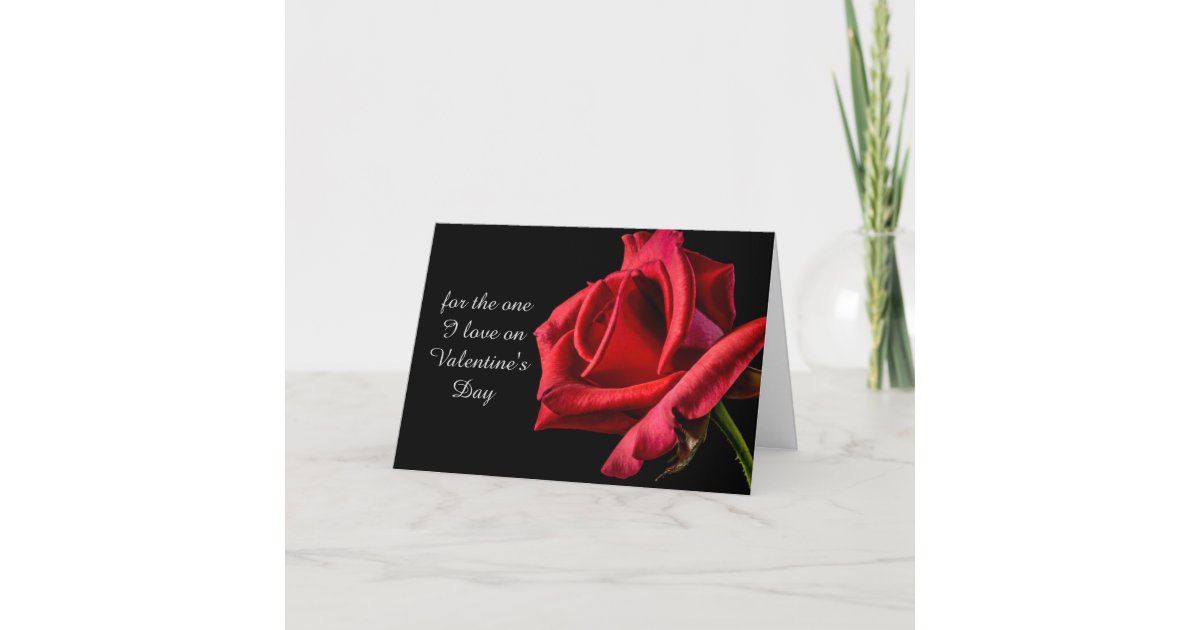 Red Rose Valentine's Day Holiday Card | Zazzle